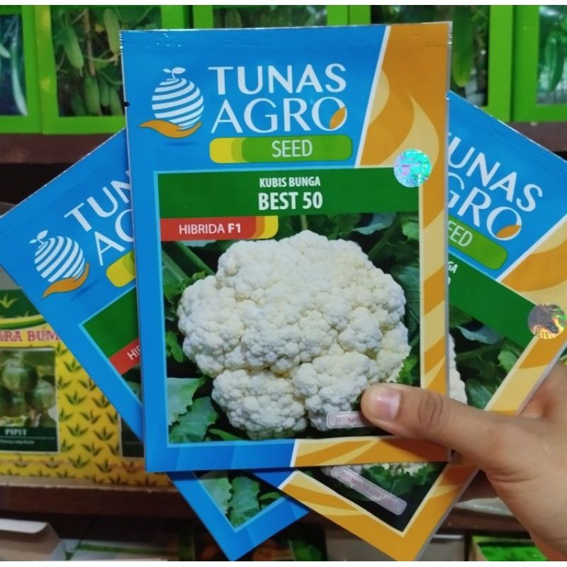 Jual kubis bunga BEST50, 10 GR . REKOMENDASI TANAM : - Baik ditanam di ...