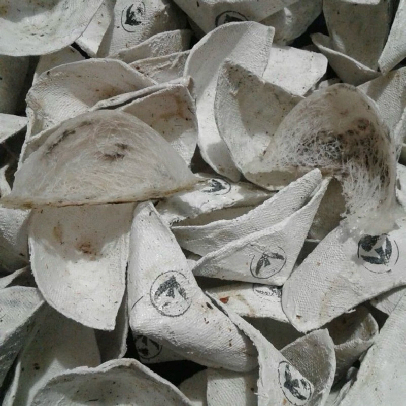 Jual Sarang walet karton tebal aroma air liur walet | Shopee Indonesia