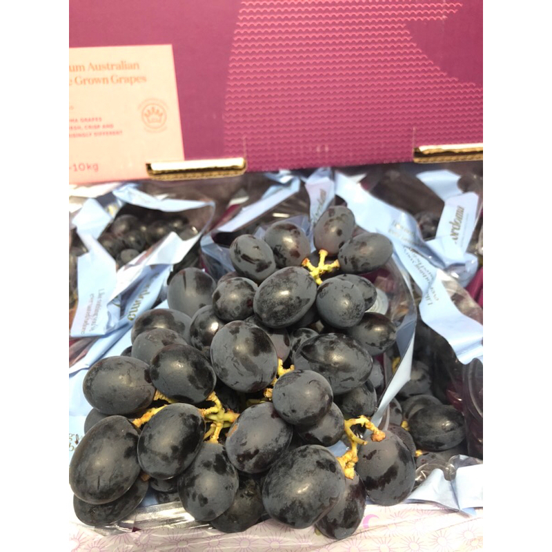 Jual Anggur Hitam Adora Australia Cordoma Jumbo /kg | Shopee Indonesia