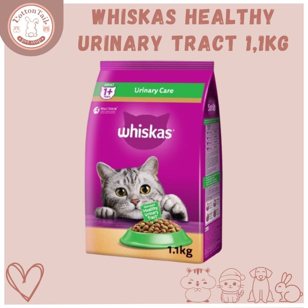 Jual Whiskas Dry Food Urinary Care 1,1kg - Makanan Kucing Kering Dewasa ...