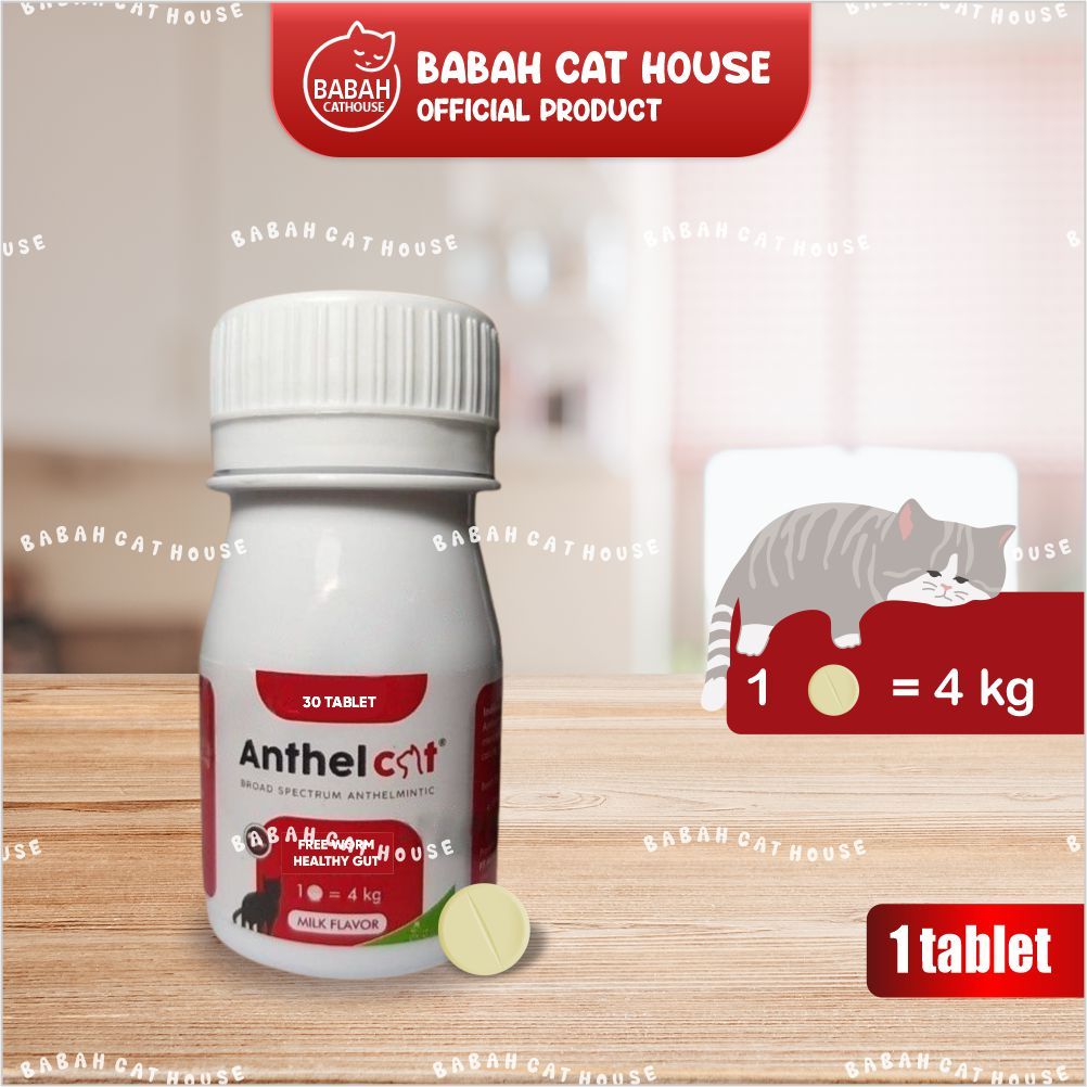 Jual ANTHEL Obat Cacing Kucing Anjing Cat Dog Tablet Murah Ampuh Untuk ...