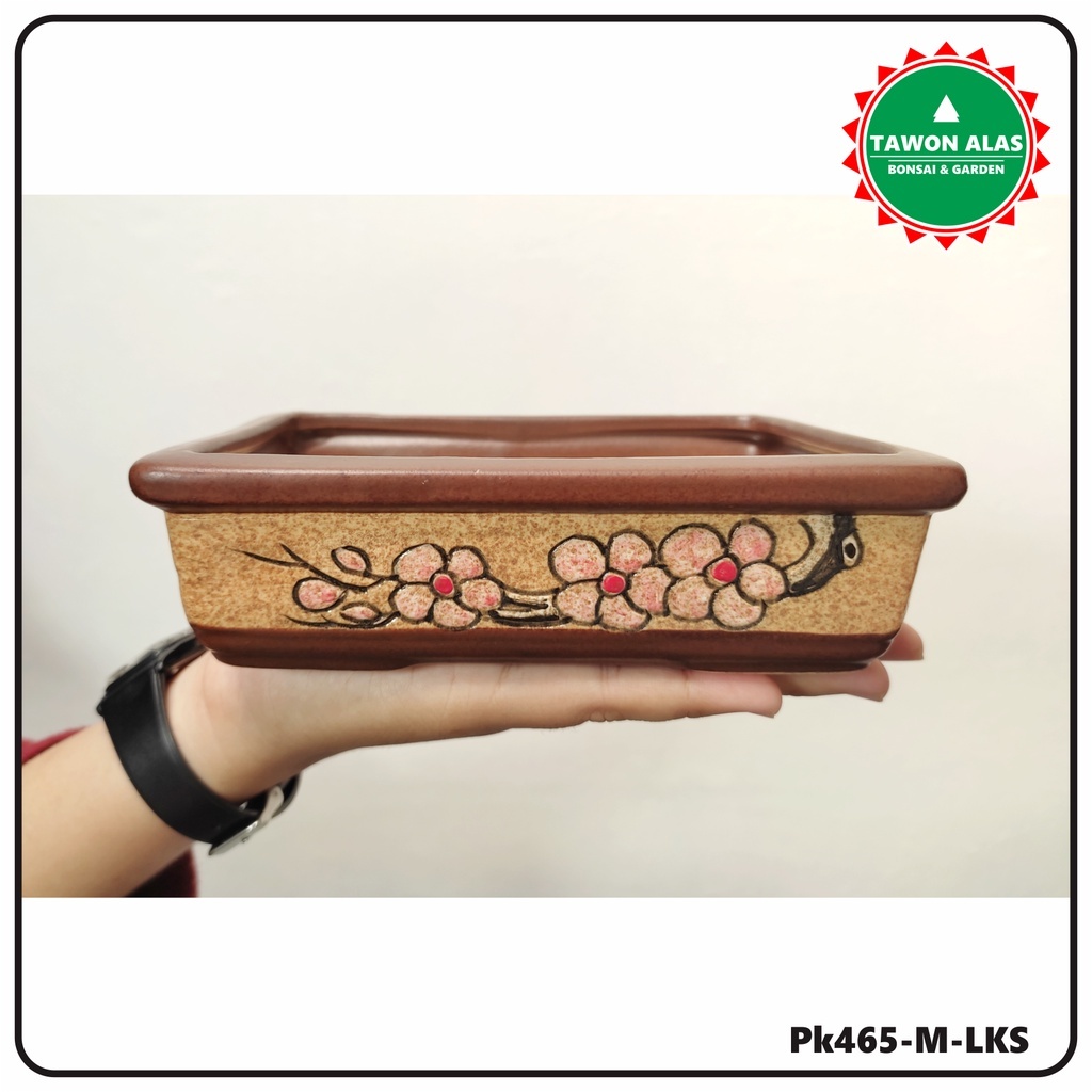Jual POT KERAMIK BONSAI Mame Mini Sukulen Bunga Anggrek Kaktus Tanaman ...