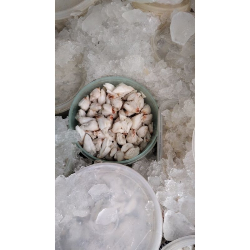 Jual daging rajungan kupas jumbo (jus) | Shopee Indonesia