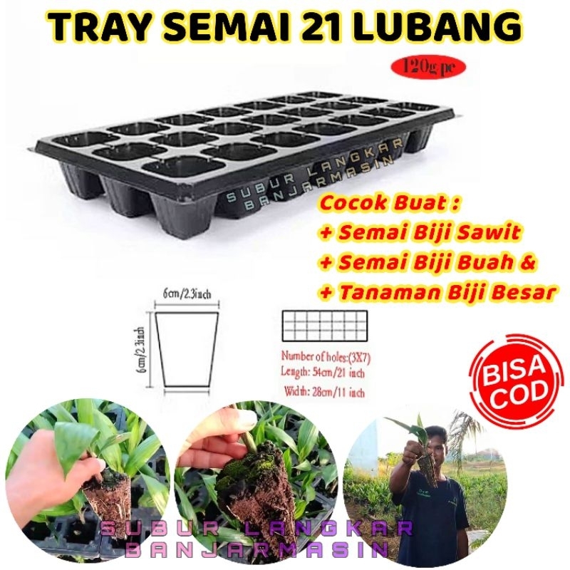 Jual TRAY SEMAI 21 LUBANG ISI PAKET 10 PCS | Shopee Indonesia