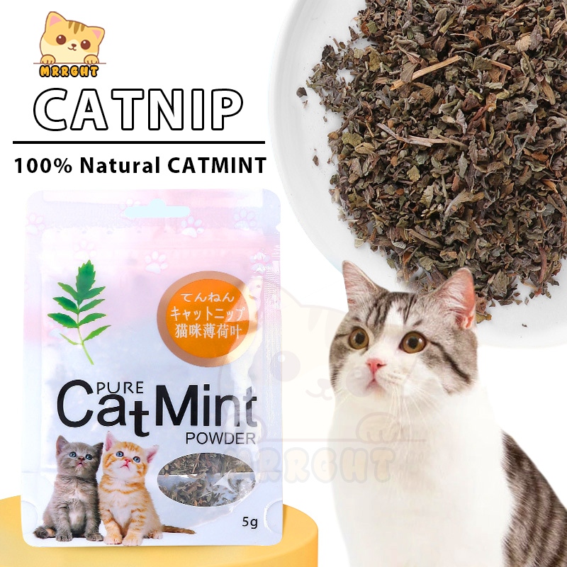 Jual Catnip Cat Mint - 100% PURE NATUAL CATMINT POWDER - Mening katkan ...