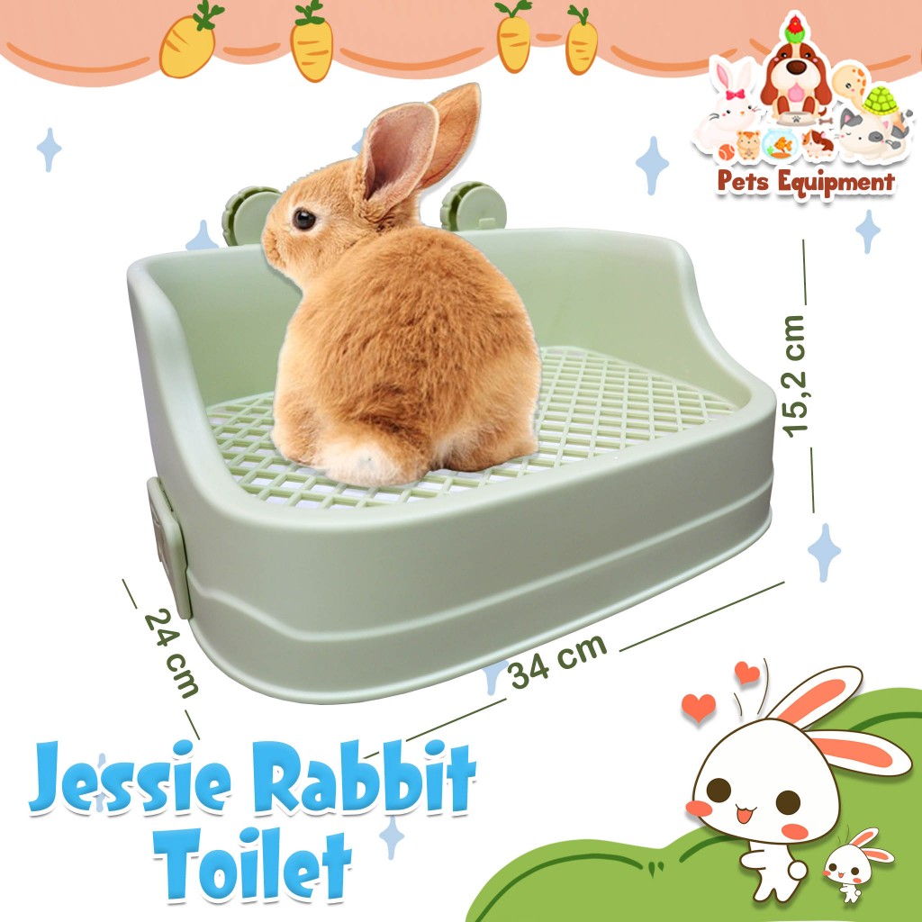 Jual JESSIE RABBIT TOILET / Toilet Kelinci / Toilet Marmut | Shopee ...