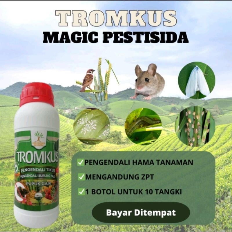 Jual TROMKUS Pestisida Organik Pengendali Hama TIKUS | BURUNG SAWAH ...