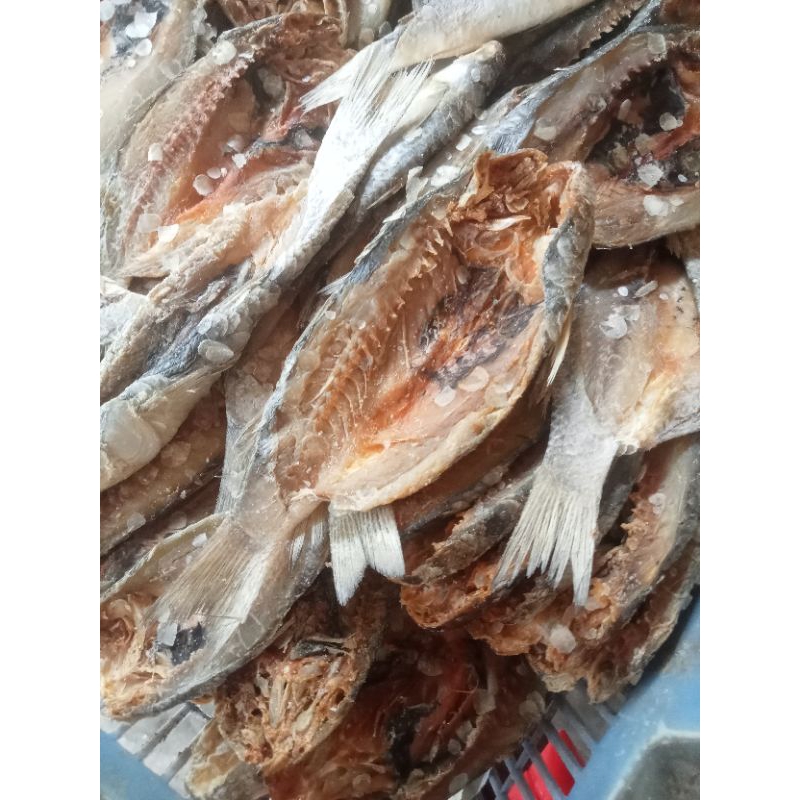 Jual Ikan Asin Balanak 100 gram | Shopee Indonesia
