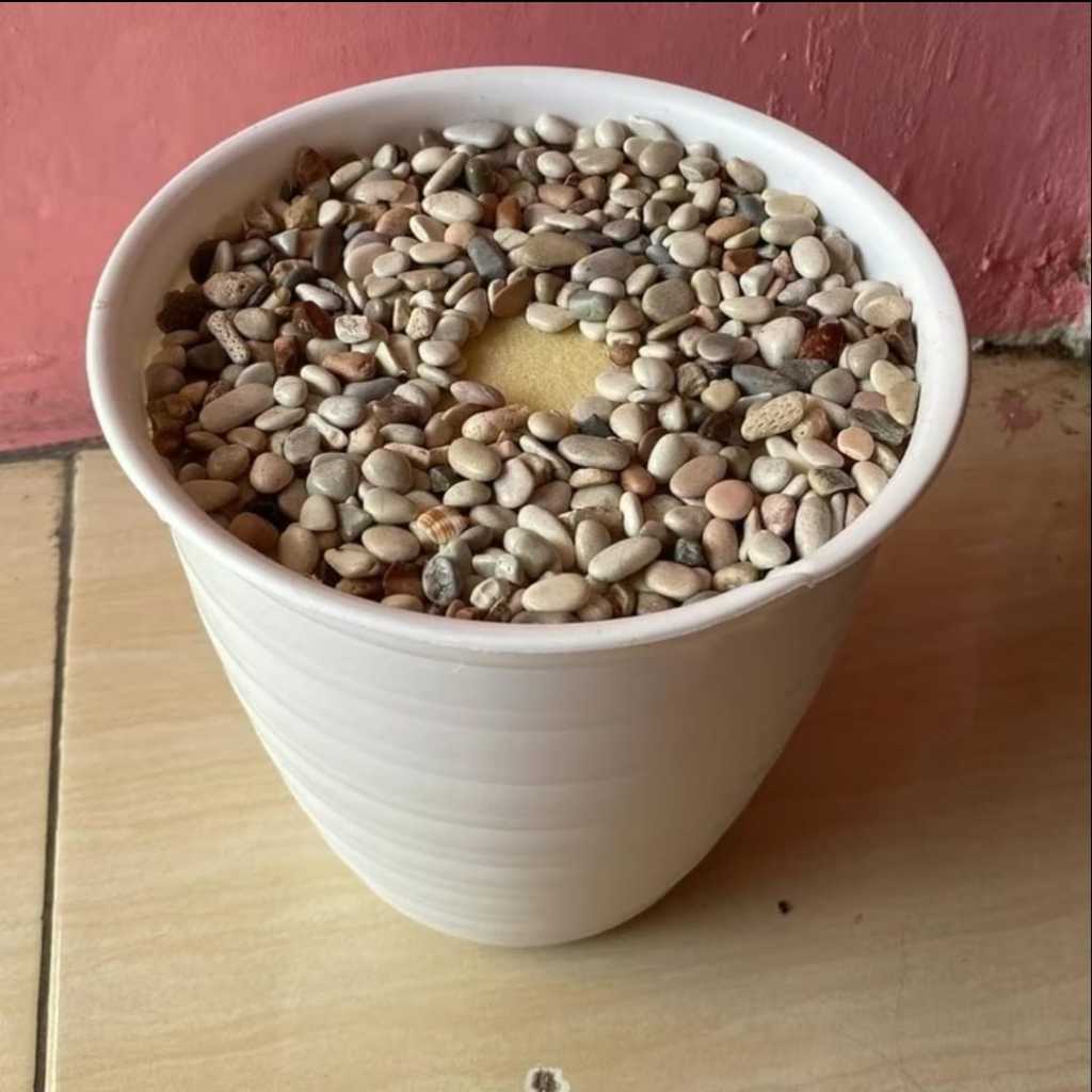 Jual Rangkaian Pot Pirus tawon termasuk batu panca warna dan bahan busa ...