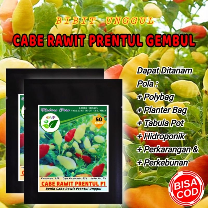 Jual BENIH CABE RAWIT PRENTUL GEMBUL F1 | Shopee Indonesia
