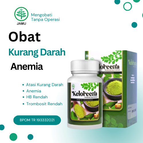 Jual Obat Kurang Darah, Menambah Darah HB Rendah, Atasi Anemia ...