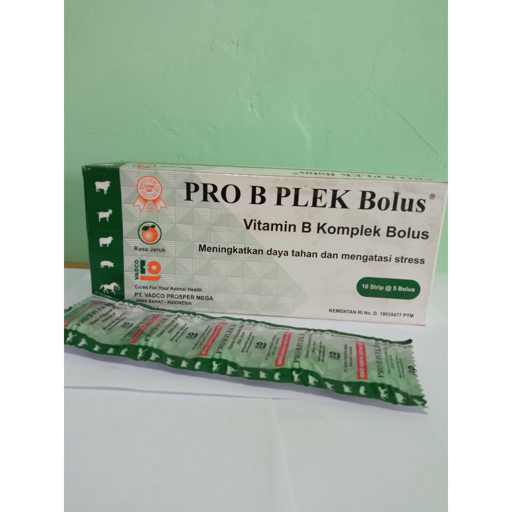 Jual PRO B PLEK 1 Box 24 bolus / VITAMIN B KOMPLEK | Shopee Indonesia