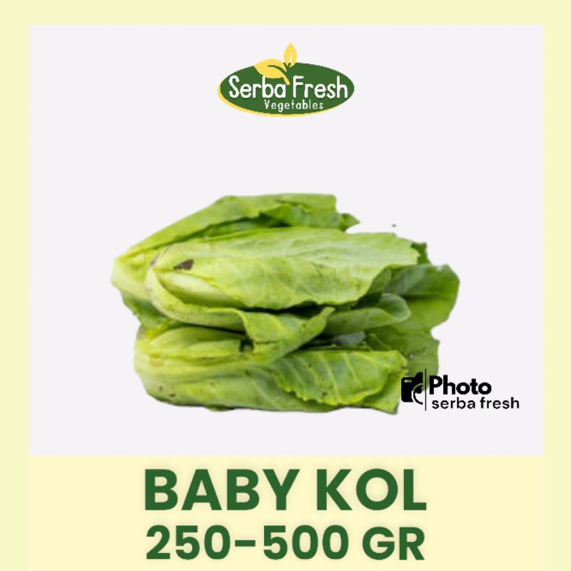 Jual BABY KOL | CUCIWIS | 250-500GR | SERBA FRESH | Shopee Indonesia