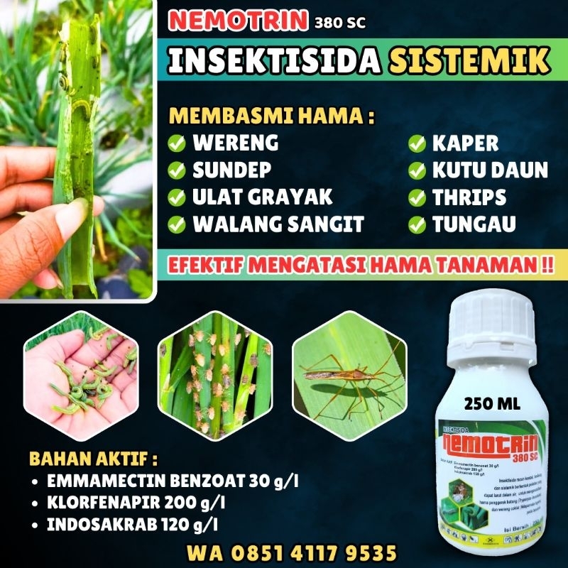 Jual Insektisida NEMOTRIN 380sc, Insektisida Sistemik , isi 250 ...