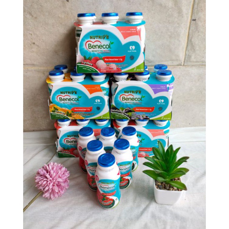 Jual Best NUTRIVE BENECOL 6 BOTOL NUTRIVE FIBERSHOT 6 BOTOL | Shopee ...