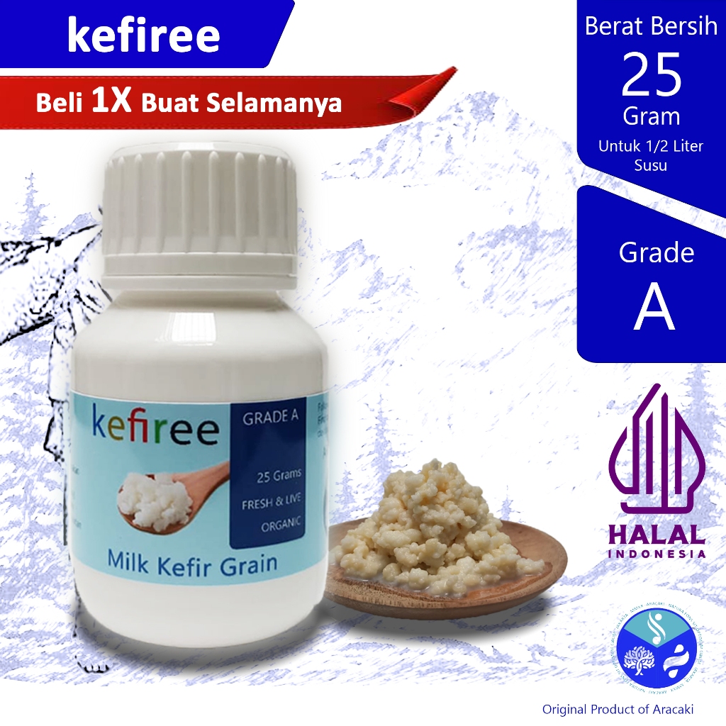 Jual BIBIT KEFIR HIDUP / KEFIR GRAIN 100% (FRESH ORGANIC) GRADE A ...