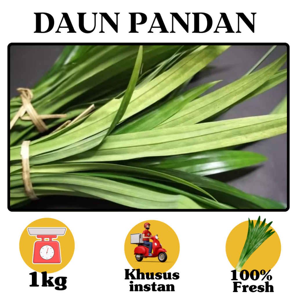 Jual Daun pandan besar 1 ikat berat 1kg khusus instan | Shopee Indonesia