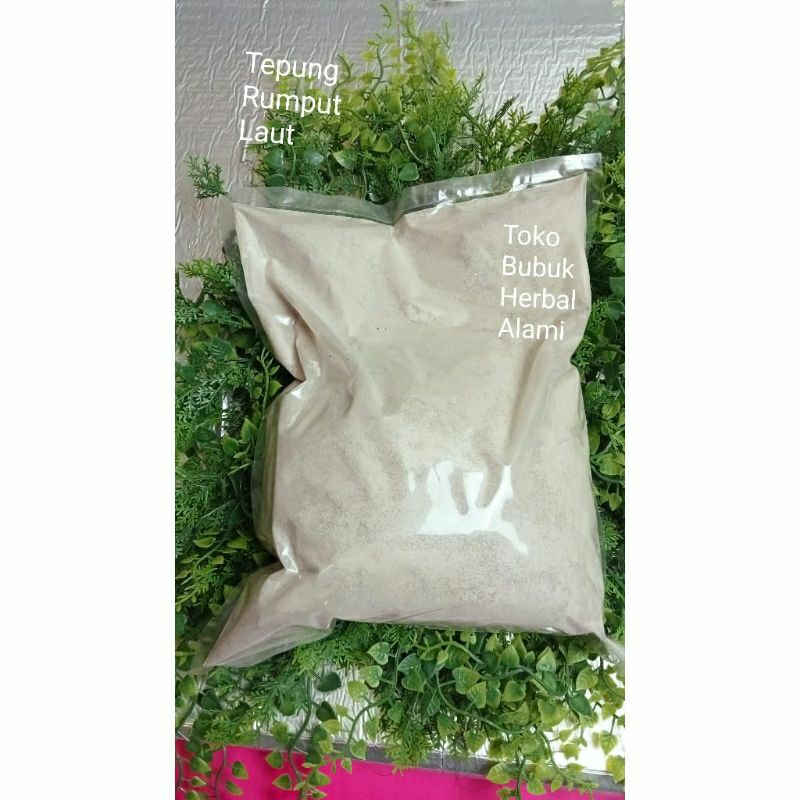 Jual TEPUNG RUMPUT LAUT BUBUK / EUCHEUMA SPINOSUM POWDER / SEAWEED POWDER 1KG | Shopee Indonesia