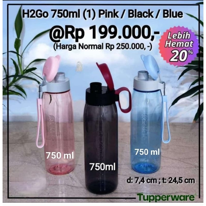 Jual Botol H2GO / Chic Flask Tupperware | Shopee Indonesia