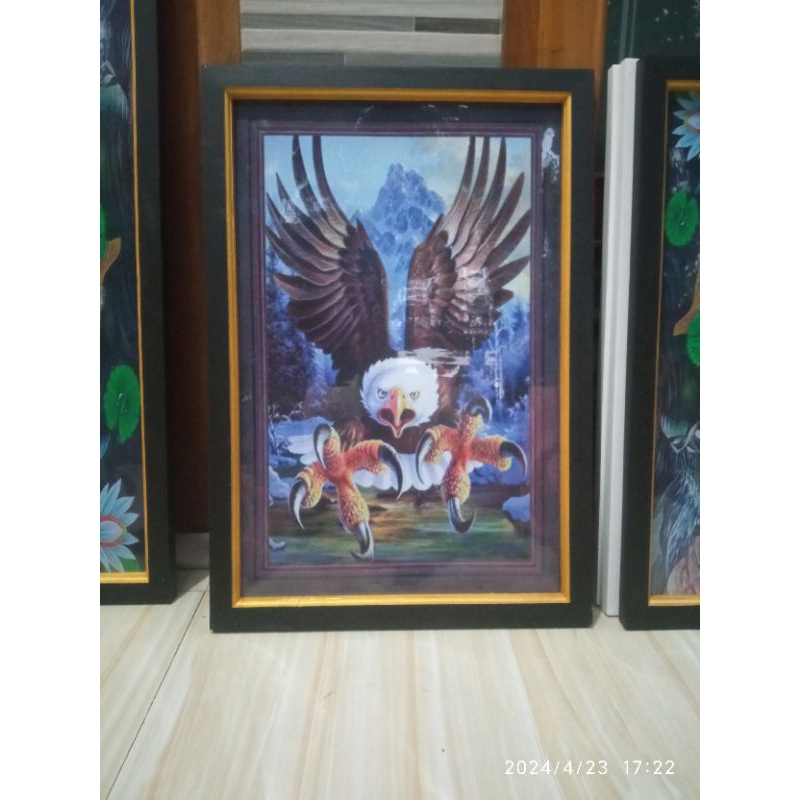 Jual hiasan dinding lukisan cetak gambar burung elang plus bingkai ...