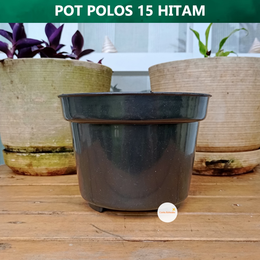 Jual [TANPA MINIMAL ORDER] (1 pc) Pot Hitam 15 Cm - Pot 15 Cm Hitam Pot ...