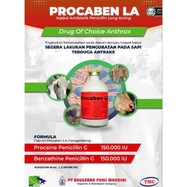 Jual ART E37U PROCABEN LA Injeksi Antibiotik Penicillin Long Acting ...