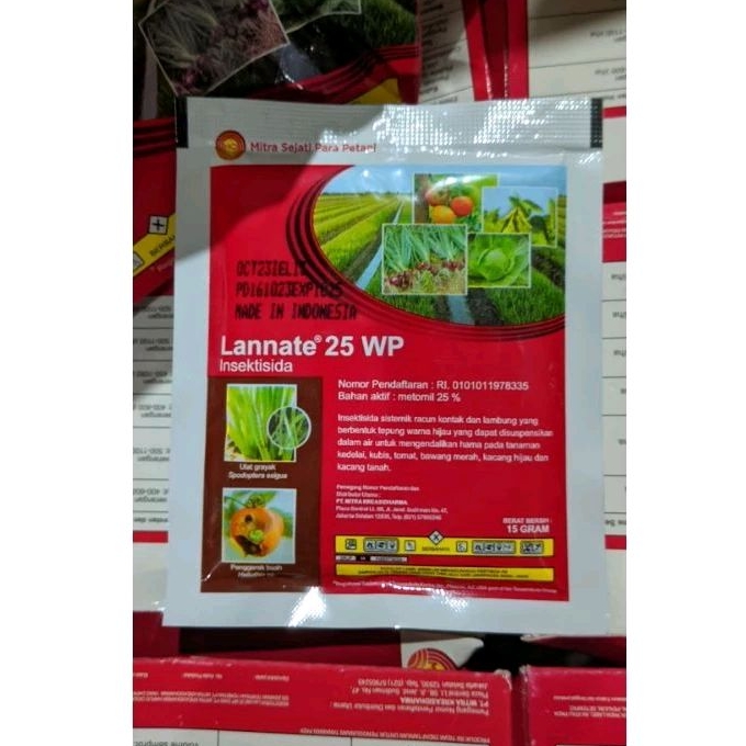 Jual INSEKTISIDA LANNATE 25 WP 15 GRAM PEMBASMI HAMA ULAT | Shopee ...