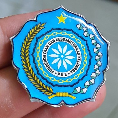 Jual Pin Bros Logo PKK Lapis Resin Kecil & Besar - Magnet & Peniti ...