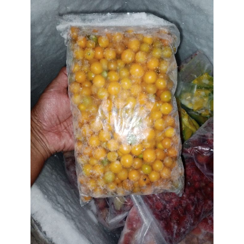Jual ¼KG BUAH CECENET SEGAR FROZEN | BUAH CIPLUKAN | BUAH CECENET ...