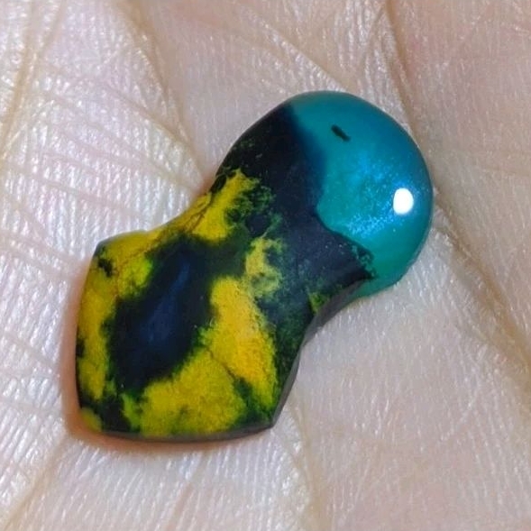 Jual Natural Bacan Doko Kembang | Shopee Indonesia