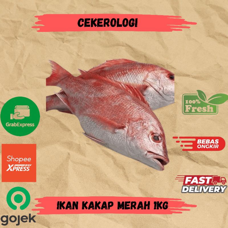 Jual Ikan Kakap Merah 1kg / Ikan Kakap Merah / Ikan Kakap / Ikan Kakap ...