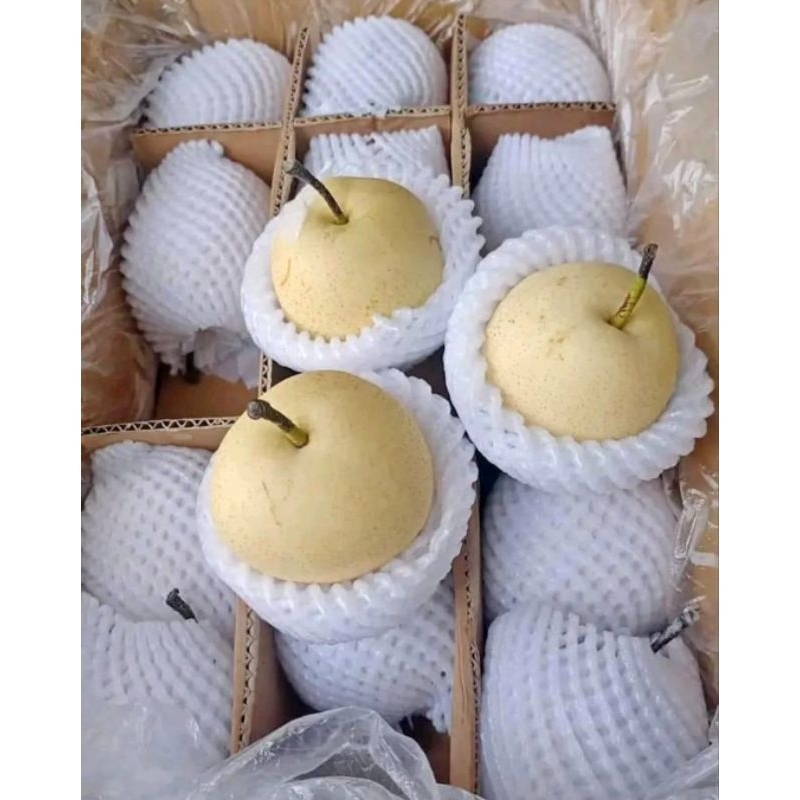 Jual Pir Century Pir Madu Manisss 1kg | Shopee Indonesia