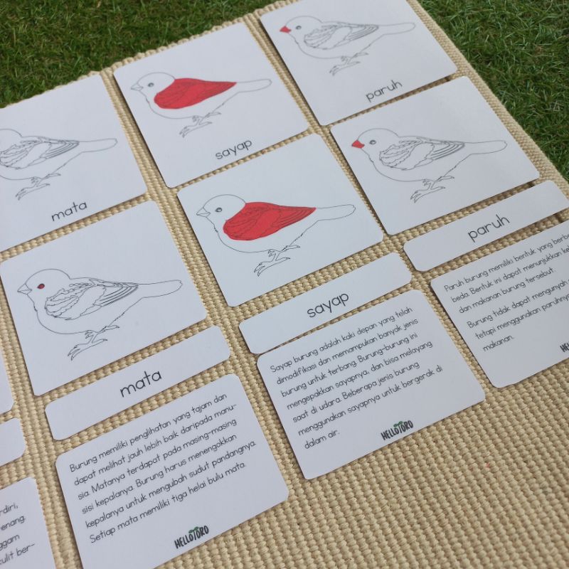 Jual Montessori Parts of an Animal Bagian Tubuh Hewan 4 part cards ...