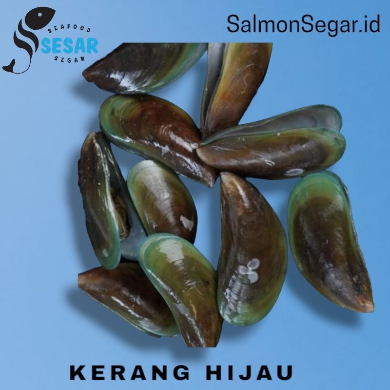 Jual Kerang Hijau - Kerang Ijo - Seafood Kerang 1kg | Shopee Indonesia