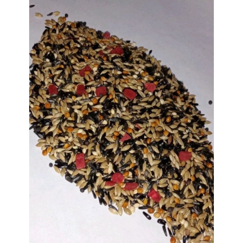 Jual PAKAN BURUNG KENARI YS, RASMI, DLL SETTINGAN TINGGI (OPLOSAN ...