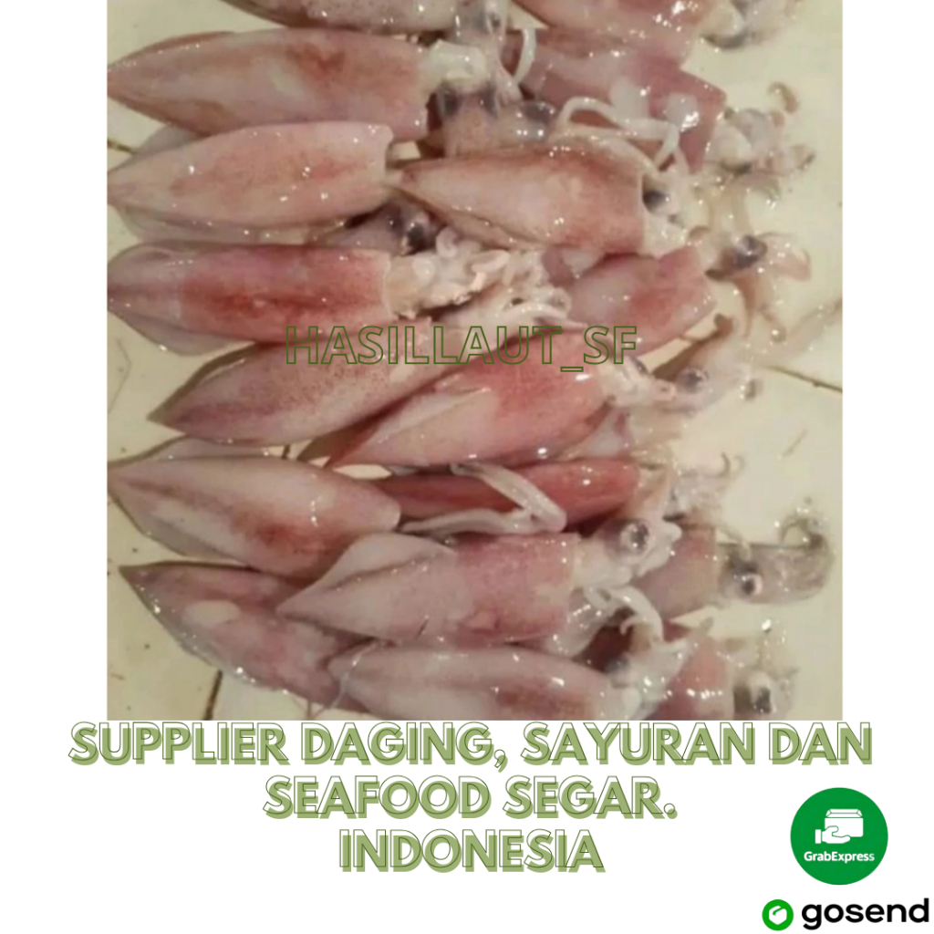 Jual CUMI BANGKA SEGAR 500 GRAM DAN 1KG | Shopee Indonesia