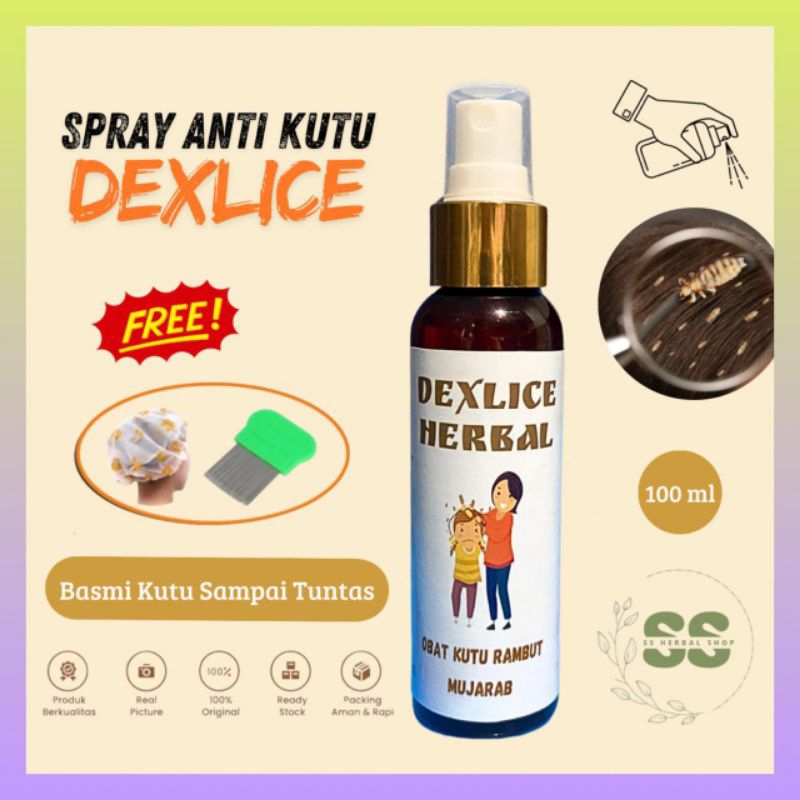 Jual Obat Kutu Rambut Ampuh Anak Dan Dewasa Basmi Kutu Dan Telor Aman ...