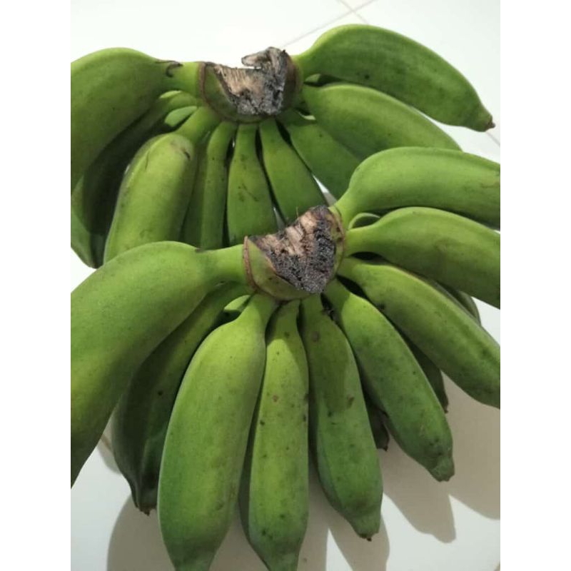 Jual Pisang Raja | Shopee Indonesia