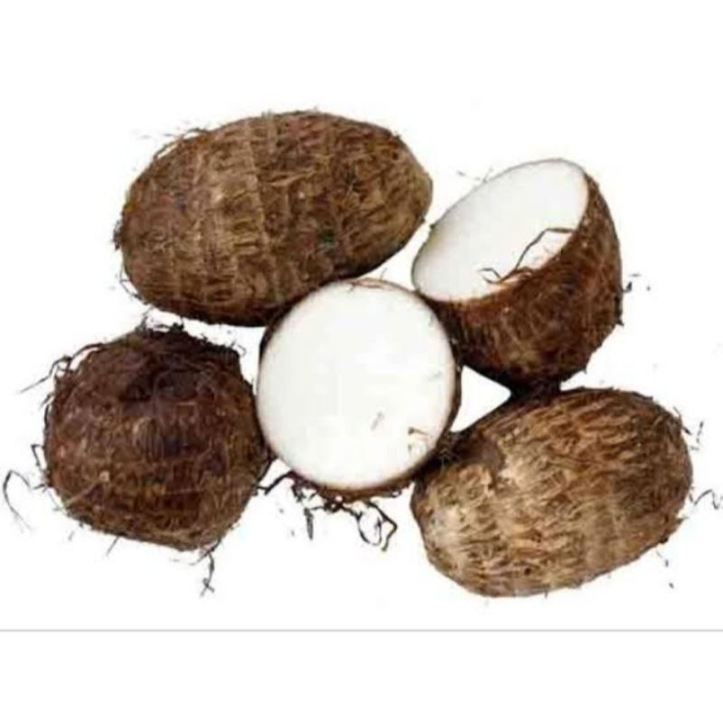 Jual talas Belitung talas kimpul 1 kg enak pulen banyak manfaatnya ...