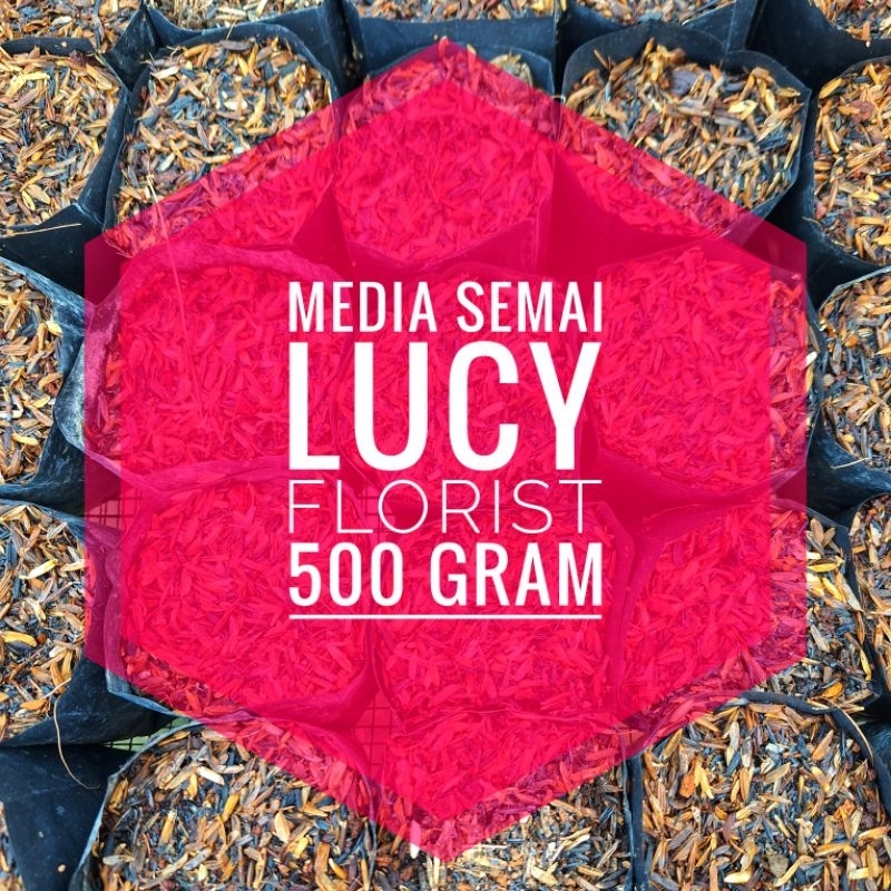 Jual Media Semai Lucy Florist 500 gram | Shopee Indonesia