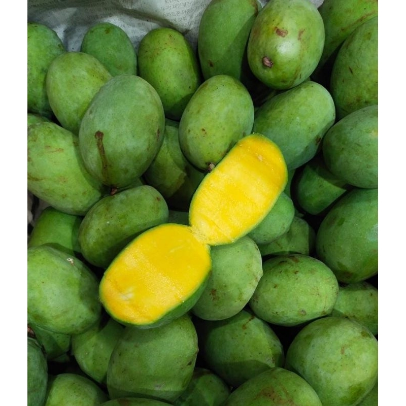 Jual Mangga Kweni 1 kg | Shopee Indonesia