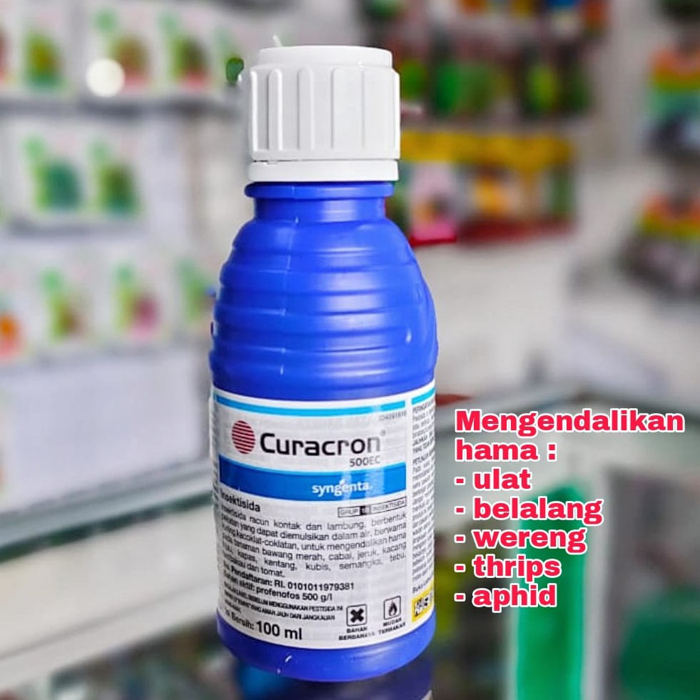 Jual obat tanaman curacron 500 ec 100ml | pembasmi hama | ulat ...