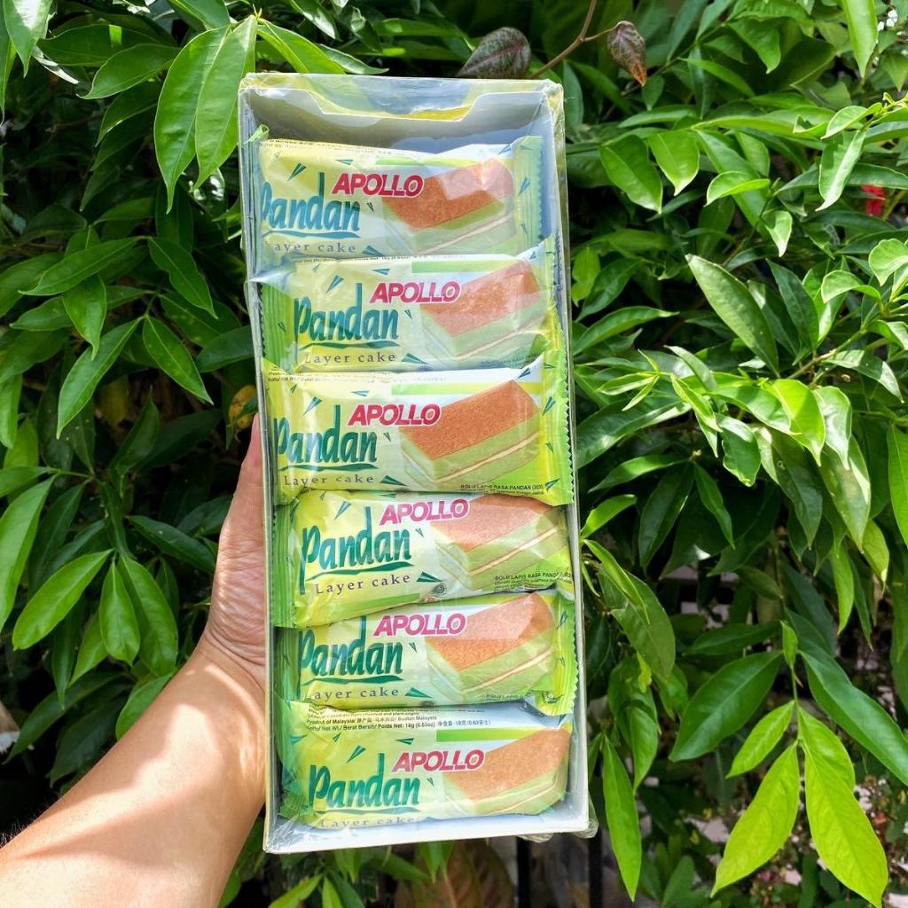 Jual Apollo Bolu Lapis Pandan & Coklat isi 24 PCS | Shopee Indonesia