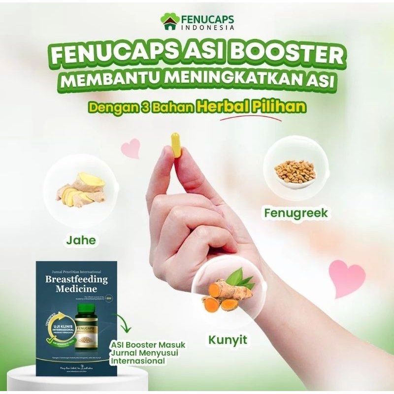 Jual Booster ASI Fenucaps Herbal 100% ECERAN 10 kapsul Expired NOV 2026 | Shopee Indonesia