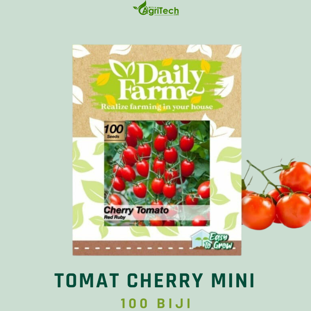Jual BENIH BIBIT TOMAT CHERRY MINI LALAP KECIL ISI 100 BIJI DAILY FARM ...