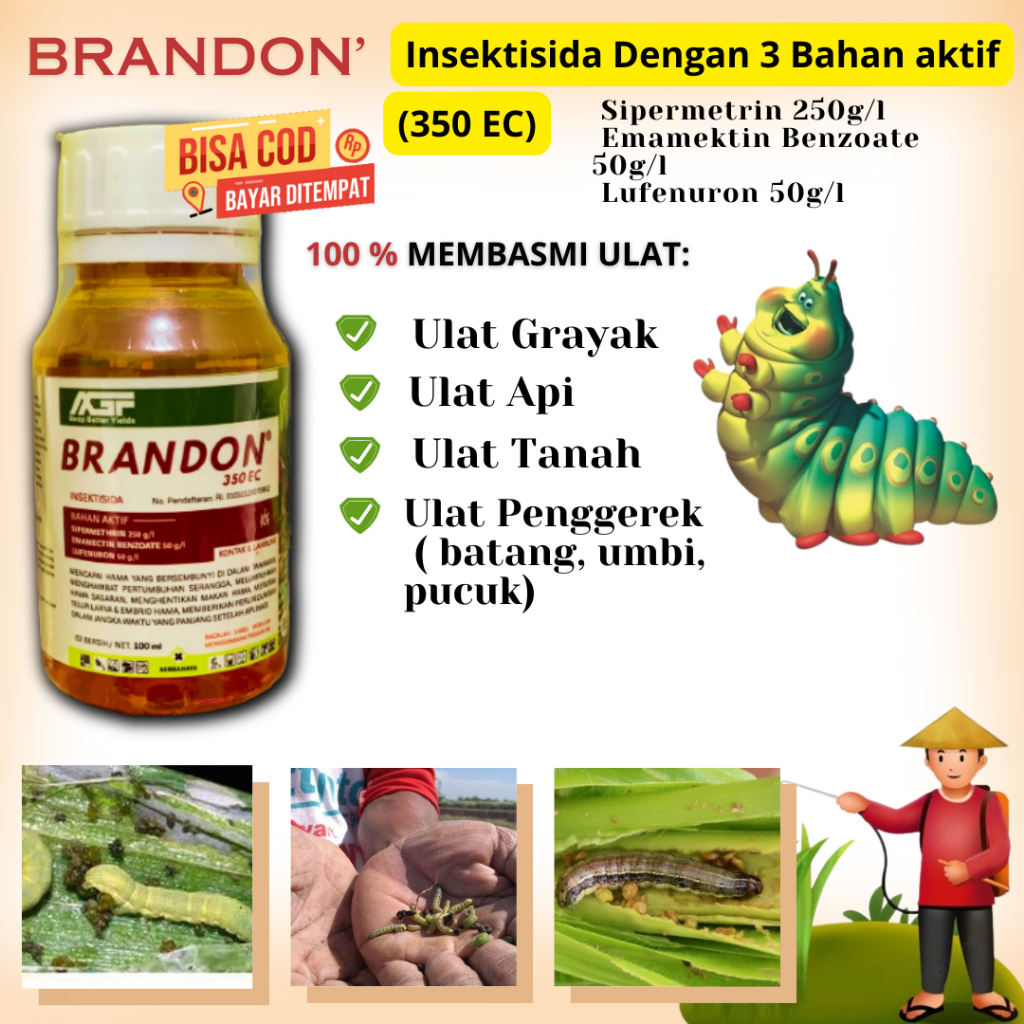 Jual (1 Botol =10 tangki) Brandon insektisida ampuh basmi hama ulat ...