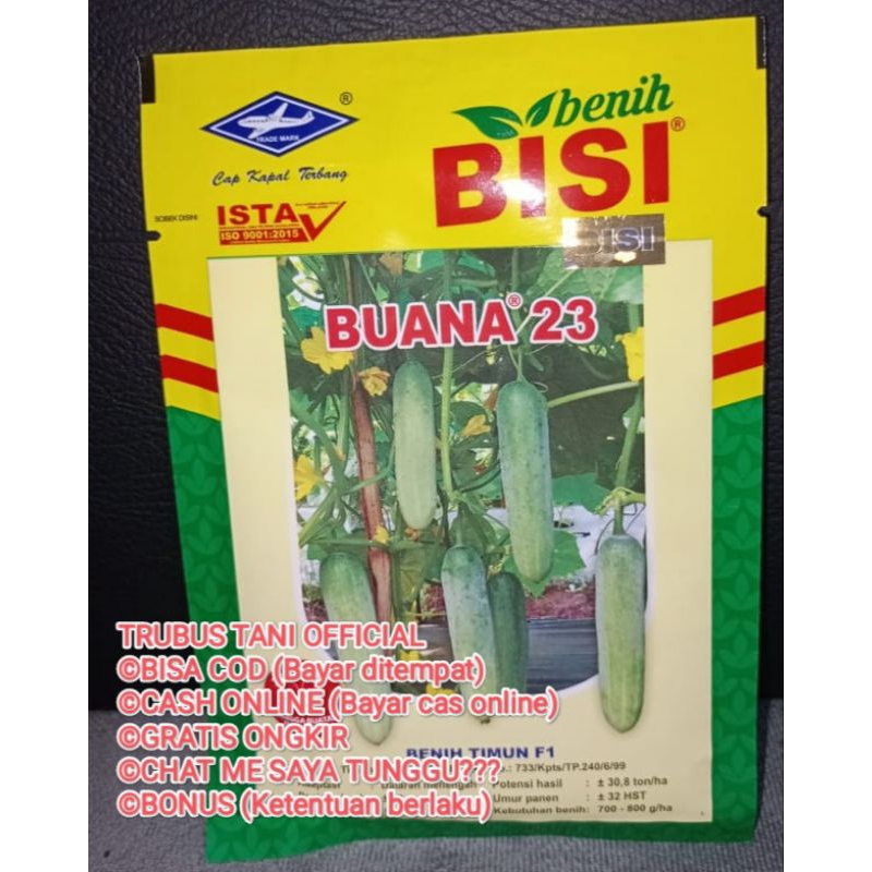 Jual Benih Timun Tahan Virus Buana 23 F1 (Mudah Merambat, Pembuahan dan ...
