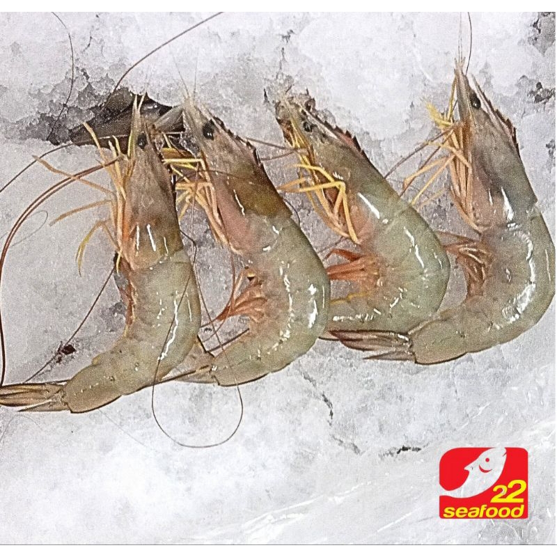 Jual Udang Jerbung 500 gram / White Shrimp / Seafood 22 | Shopee Indonesia