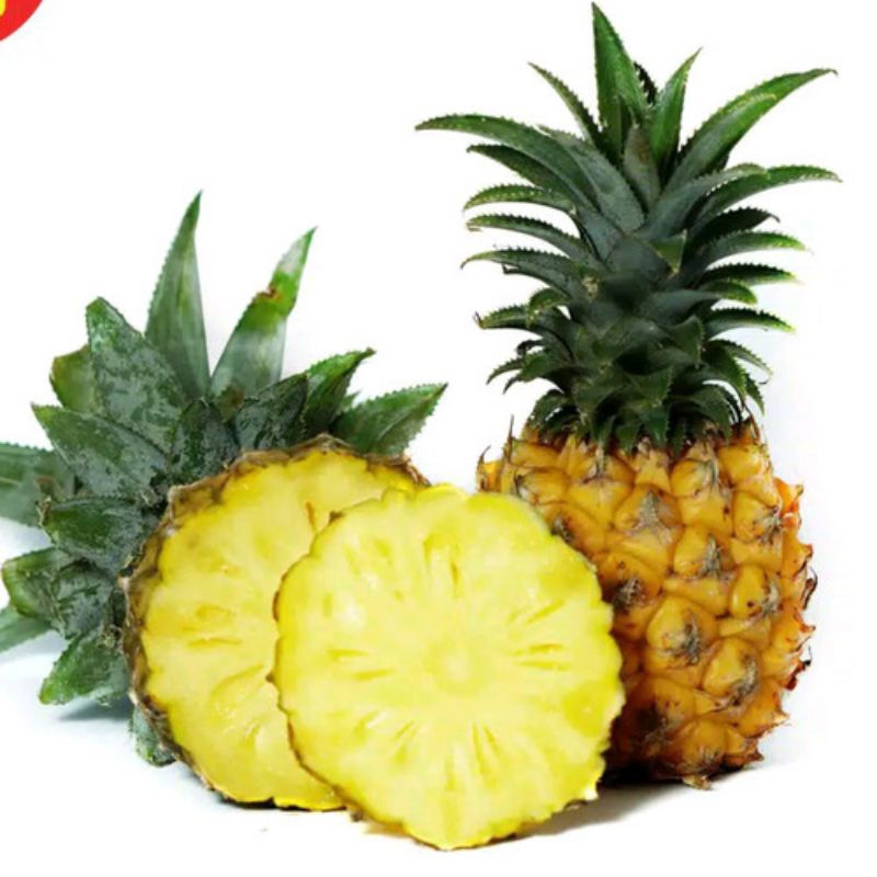 Jual nanas madu pemalang | Shopee Indonesia