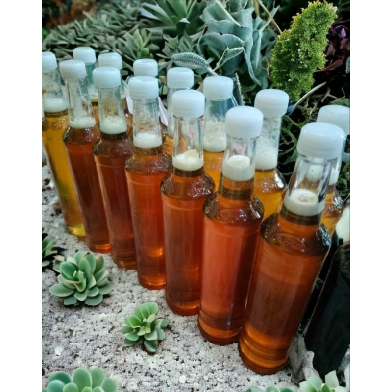 Jual Madu Hutan Madu Odeng Madu Tawon Gung Original | Shopee Indonesia
